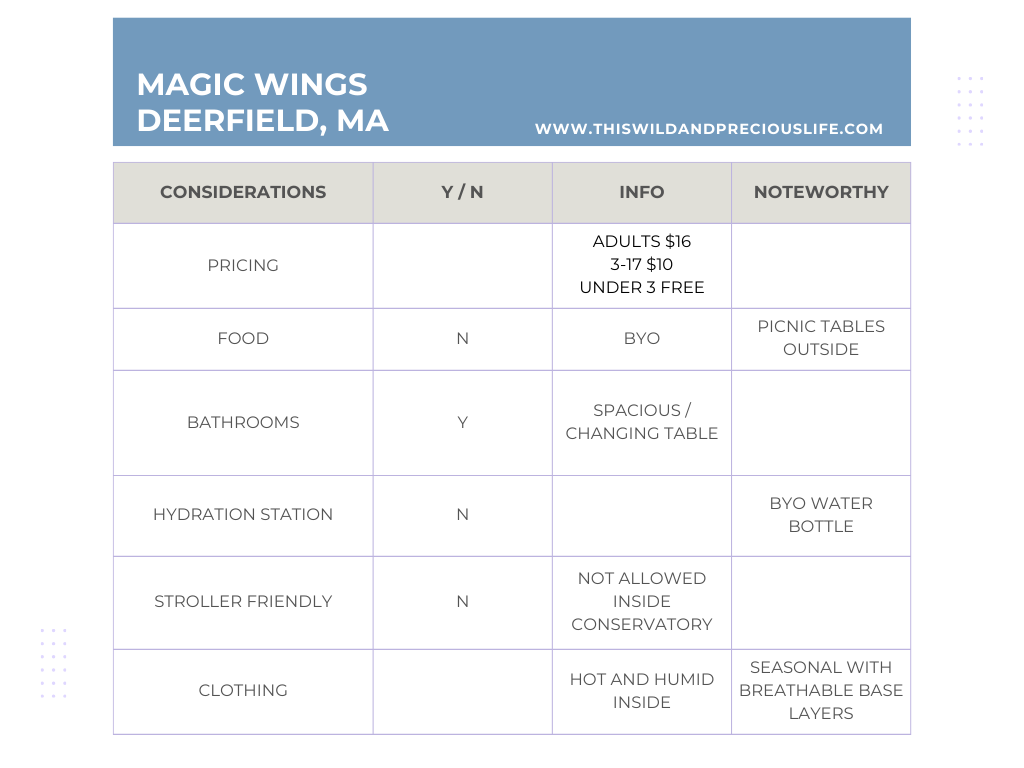 A Mom’s Guide to Magic Wings in Deerfield, MA