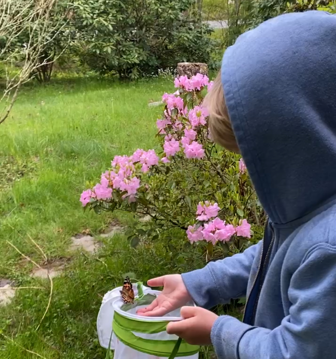 A Mom’s Guide to Magic Wings in Deerfield, MA